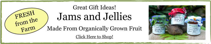 ONO Organic Farms, Maui, Hawaii - Tropical Fruit, Coffee, Local Markets ...