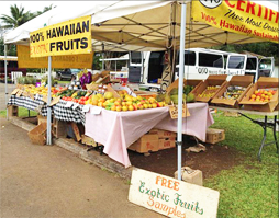ONO Organic Farms, Maui, Hawaii - Tropical Fruit, Coffee, Local Markets ...